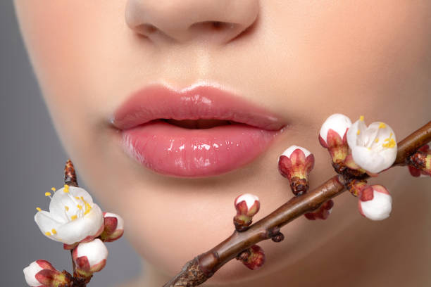 How To Get Korean Heart-Shaped Lips Naturally – Keoji
